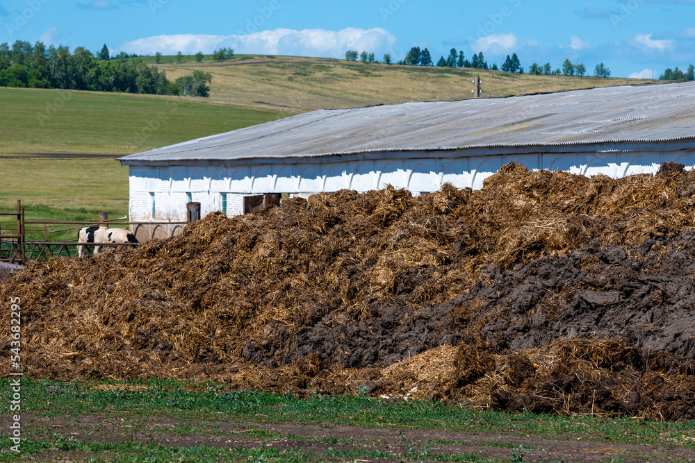 A pile of manure on the farm. Stock Photo | Adobe Stock
