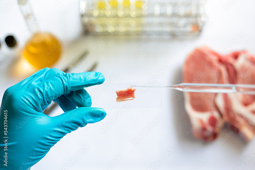 Scientists test for harmful substances contaminated in meat specimens ...