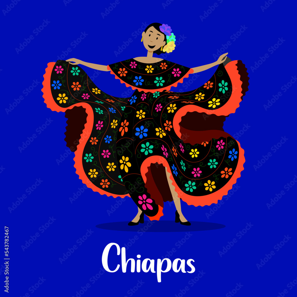 Traje típico de méxico de mujer del estado de Chiapas Stock Vector ...