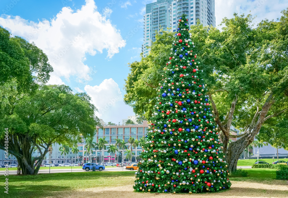 Decorated christmas tree in Bay side, Miami Stock Photo | Adobe Stock