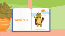 Turtle Dictionary Page Free Stock Photo - Public Domain Pictures