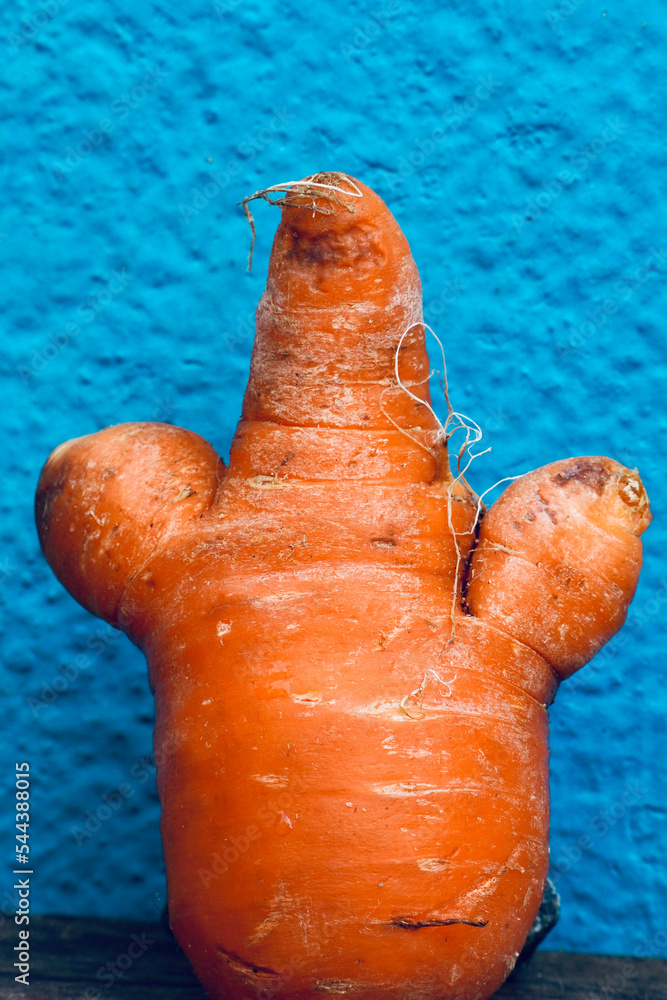 Ugly carrot root vegetable grown like human body part isolated against ...