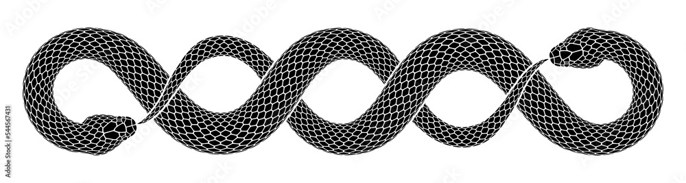 Vector tattoo design of two intertwined snakes biting their tails ...
