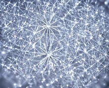 Six Arm Snowflake Free Stock Photo - Public Domain Pictures