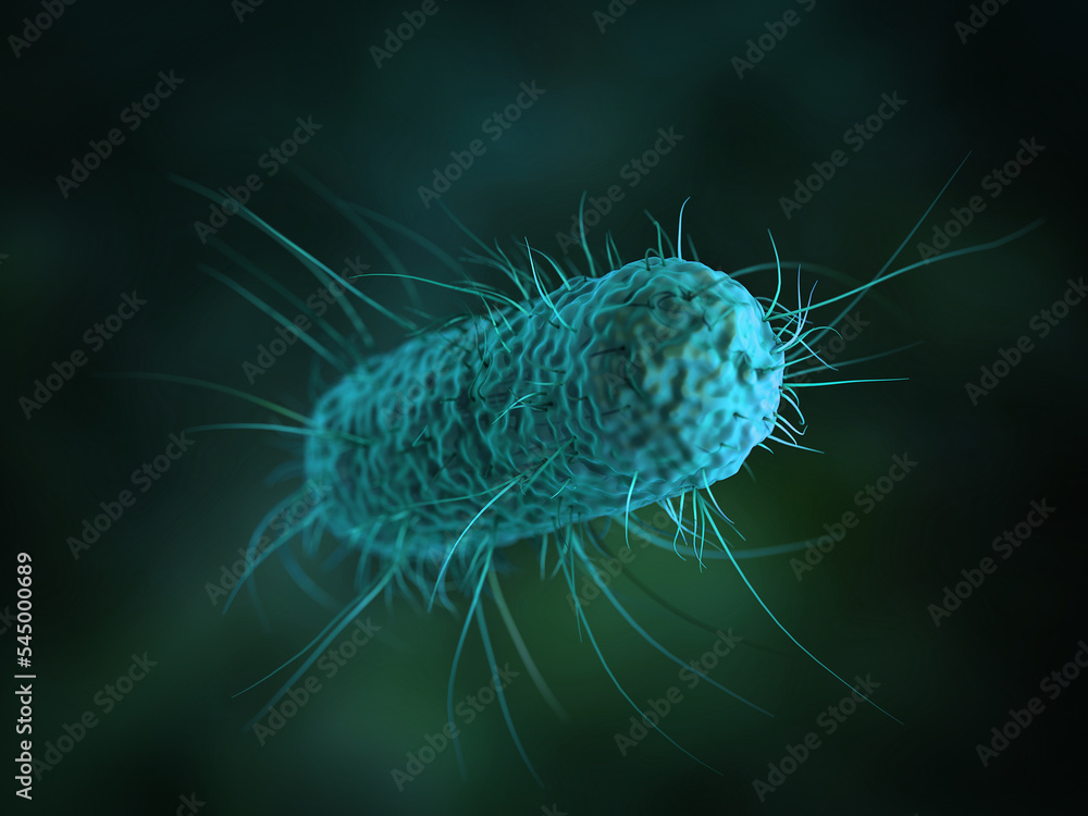 close up of 3d microscopic bacteria cells Escherichia Coli (E. Coli.) under microscope Stock ...