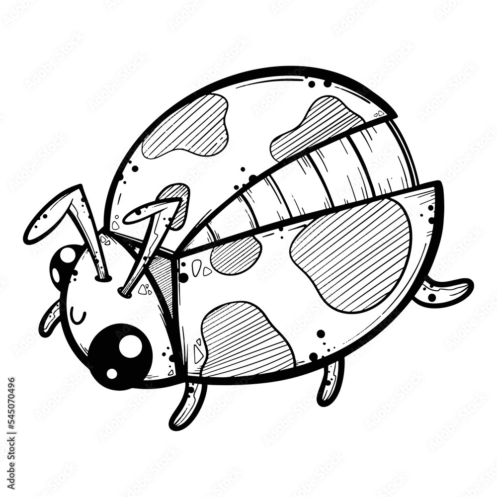 cute ladybug line drawing cartoon illustration Stock Vector | Adobe Stock