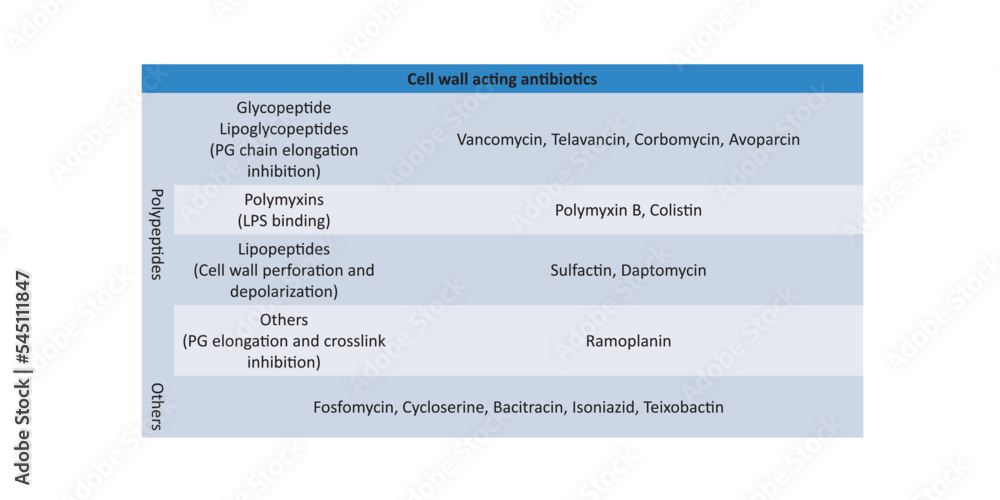 Table showing classification of Penicillin antibiotic by generations ...