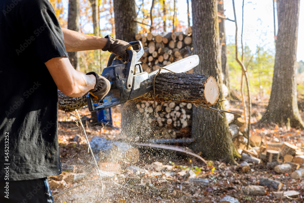When a violent storm occurs, a chainsaw cuts into the trunk of an ...