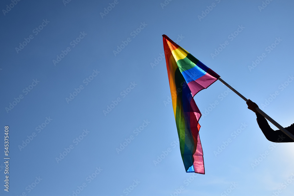 Rainbow flag holding in hand against bluesky background, concept for ...