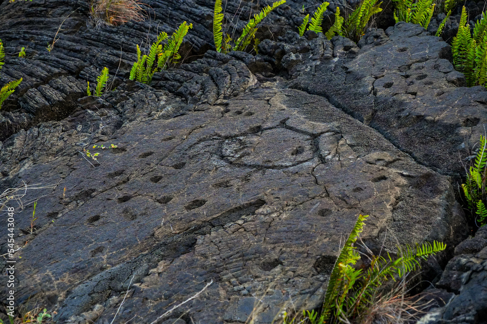 Prehistoric carving on a lava rock part of the Pu'u Loa Petroglyphs ...