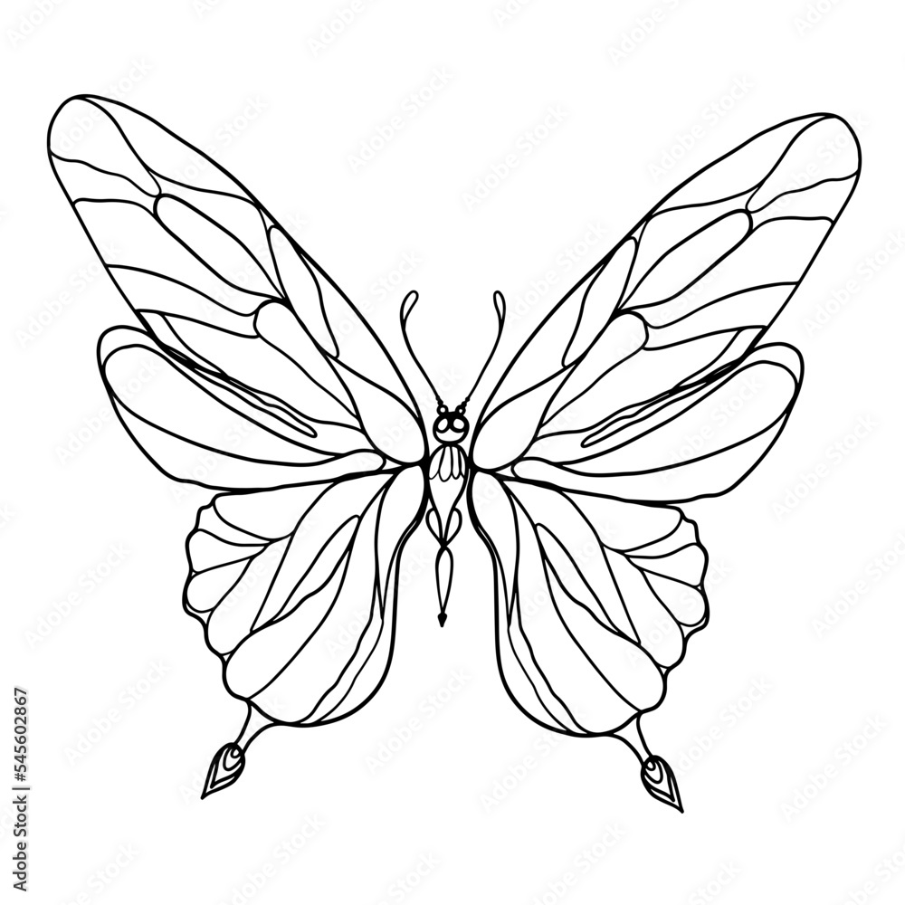 Butterfly - Decorative vector outline of a butterfly. Design for a ...