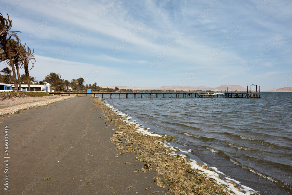 Paracas is a city on the west coast of Peru. It is known for its ...