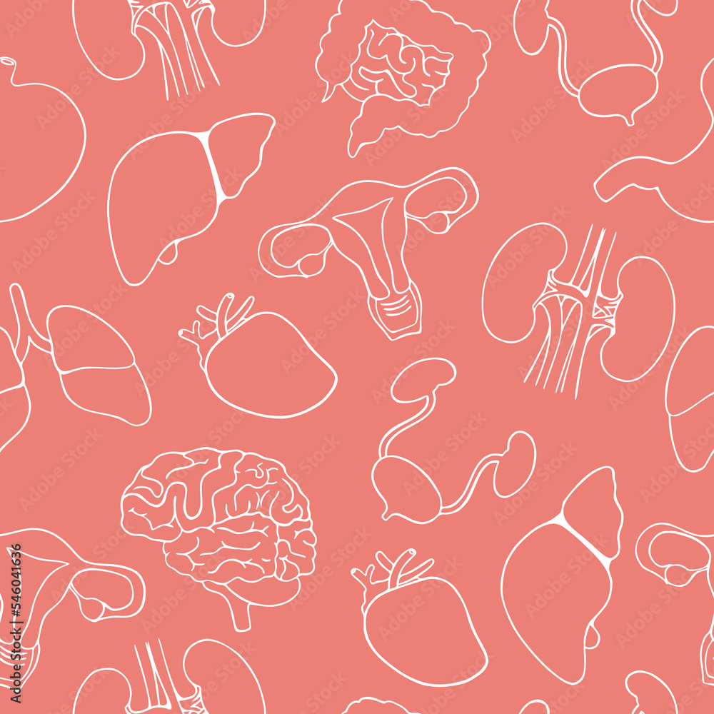 Vector de Stock Human internal organs seamless pattern. Stomach, kidney, brain, lungs, heart ...