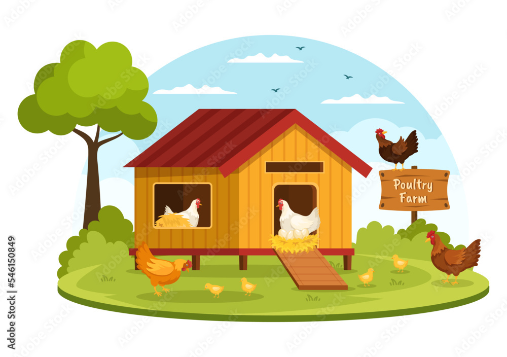 Poultry Farming with Farmer, Cage, Chicken and Egg Farm on Green Field ...