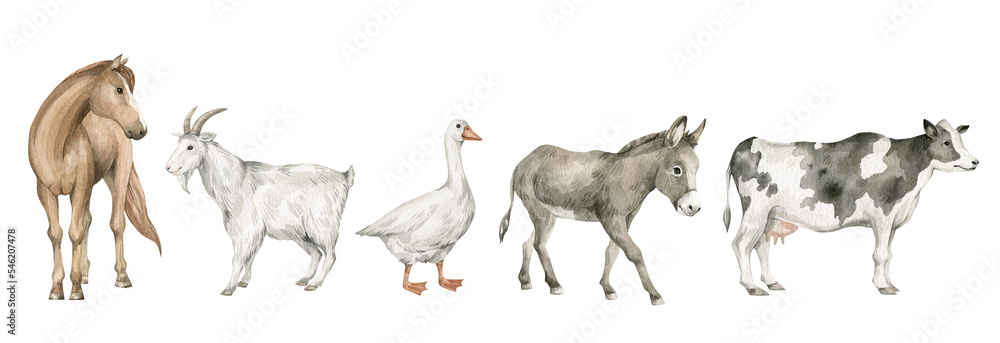Watercolor set with domestic animals. Horse, goat, goose, donkey, cow ...