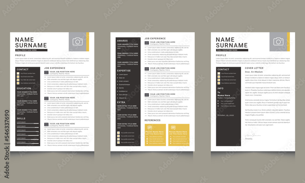 Professional Resume Template Design and Modern CV Layout and Cover ...