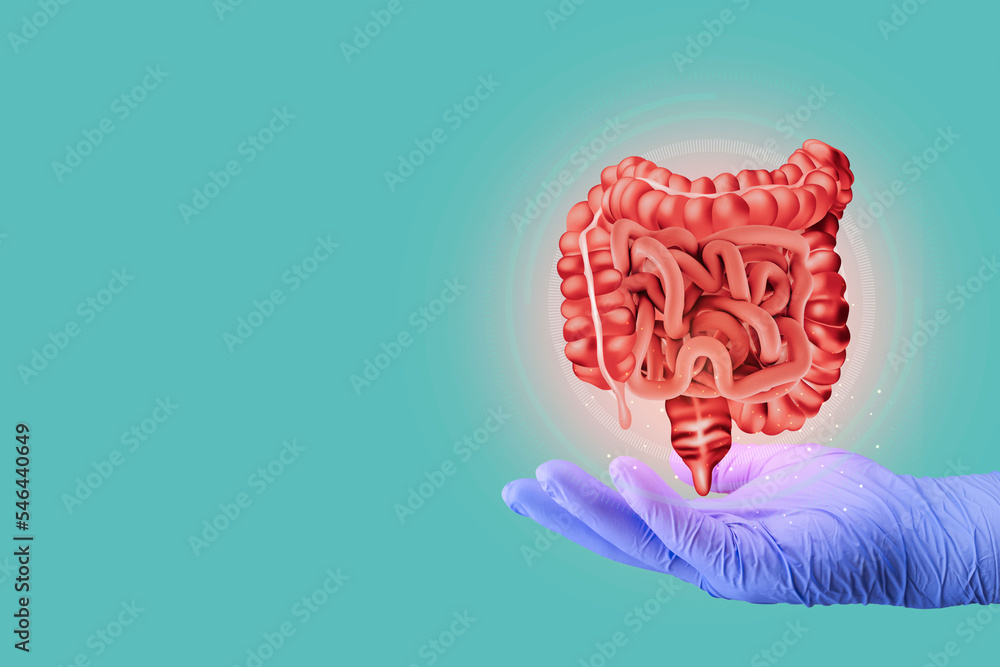 Stock-Foto „Large and small intestine. Colon cancer, bacteria, virus in ...