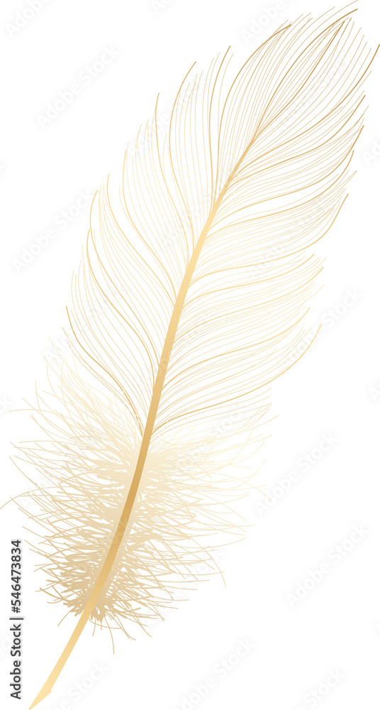Gold feather hand drawn Stock Illustration | Adobe Stock