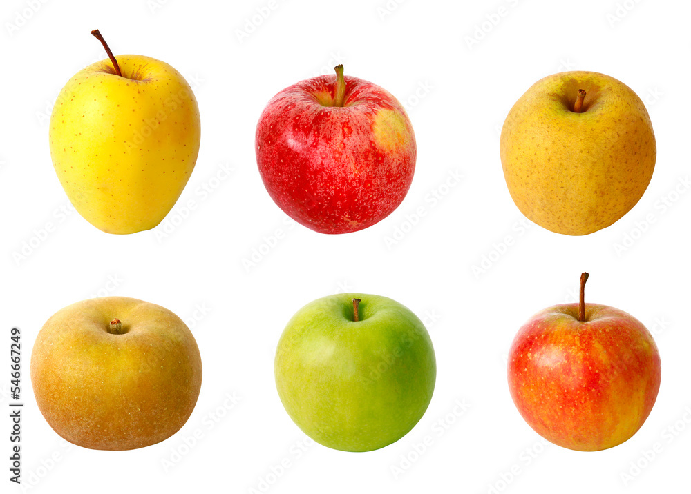 Différentes variétés de pommes Stock Photo | Adobe Stock