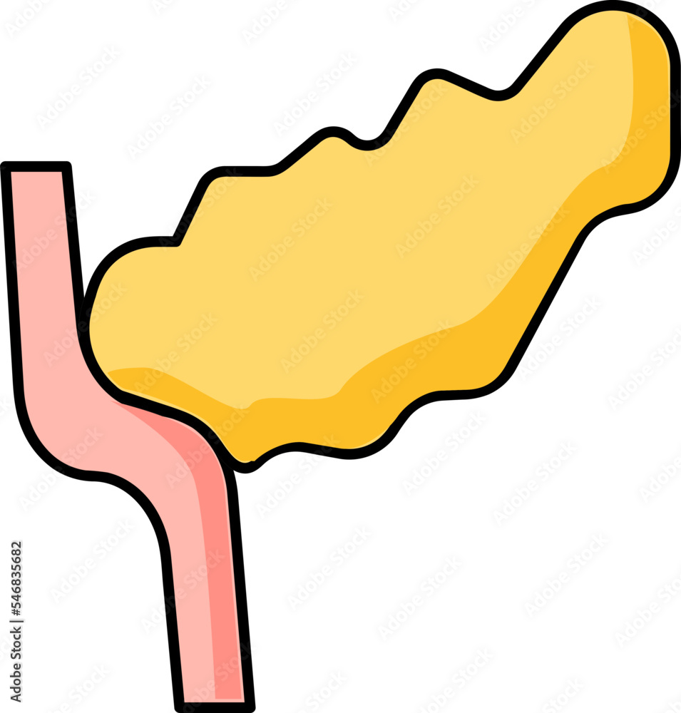 The gland that is behind the upper stomach and functions to help ...
