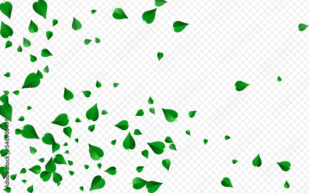 Swamp Greens Tree Vector Transparent Background Stock Vector | Adobe Stock