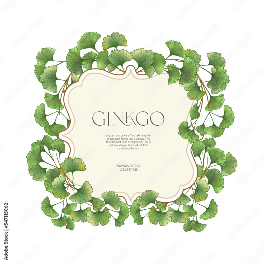 Ginkgo biloba leaves. Border, frame, template for product label ...