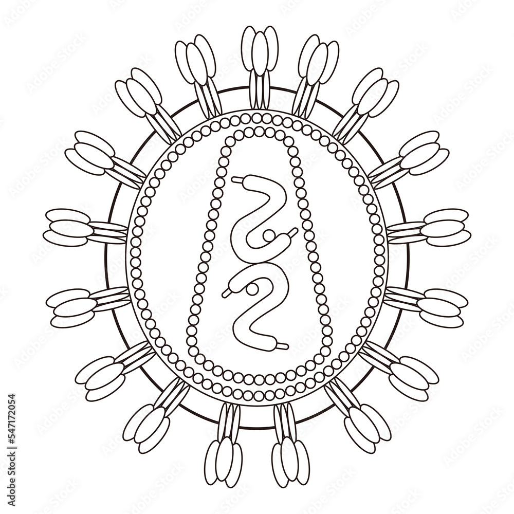 Cell Prokaryotic cell Eukaryotic cell Animal cell Plant cell ...