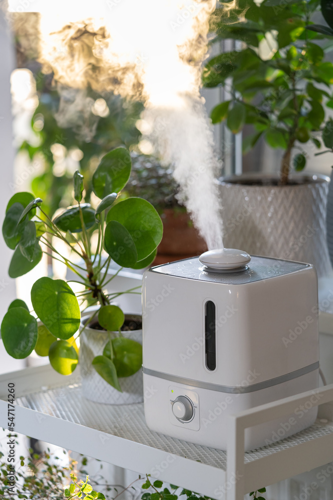 Steam from electric humidifier, moistens dry air surrounded by indoor ...