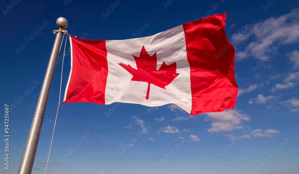 Canadian flag flying at summer blue sky. Canadian flag waving on the ...