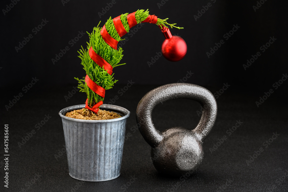 Grinch Christmas tree, Lemon Cypress tree, wrapped in red ribbon with a ...