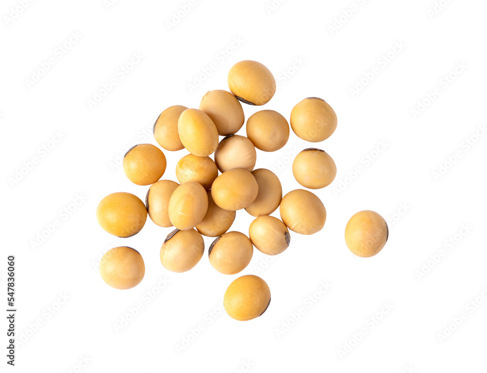 Soybean isolated on transparent png Stock Photo | Adobe Stock