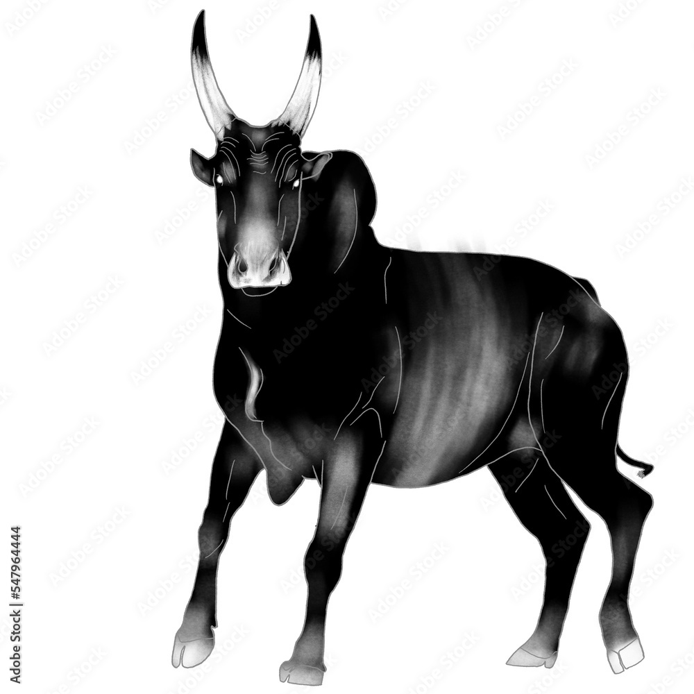 Kangayam Bull – Jallikattu Bull Stock Illustration | Adobe Stock