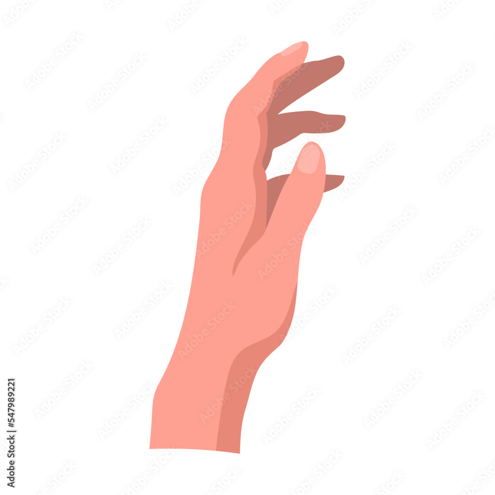 Female hand takes an object. Hand gestures cartoon vector illustration ...