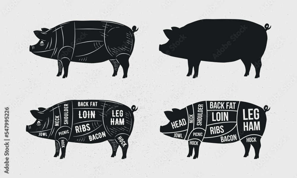 Pig, Pork set. Pig silhouette. Pork - butcher diagram template. Cuts of ...