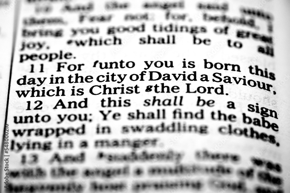 Bible Scriptures About the Birth of Jesus Christ Savior of the World ...