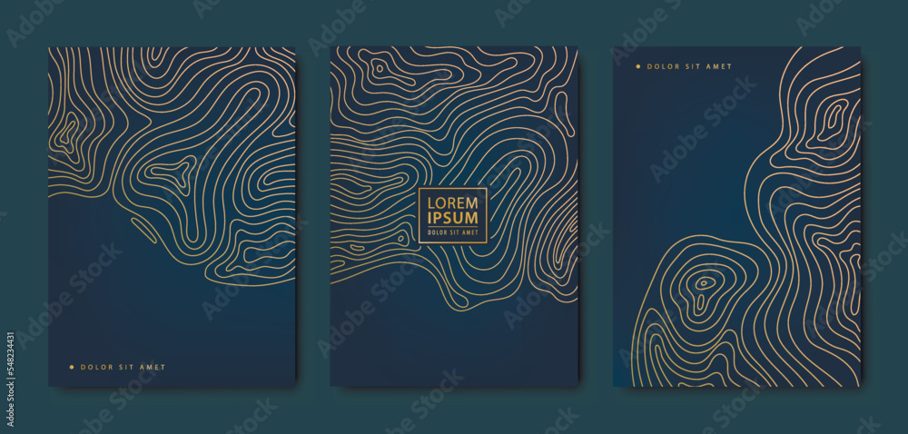 Vector topographic map set banners, covers. Contour line geographic map ...