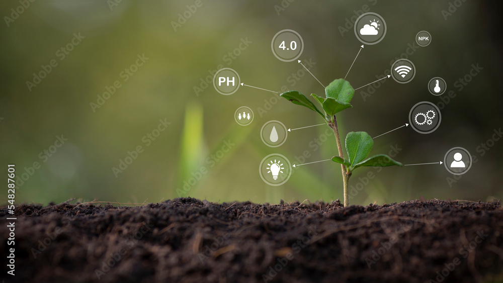 agricultural growth concept It has both the benefits of soil and plants ...
