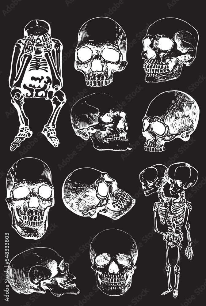 Graphical big set of skeletons and human skulls isolated on black ...