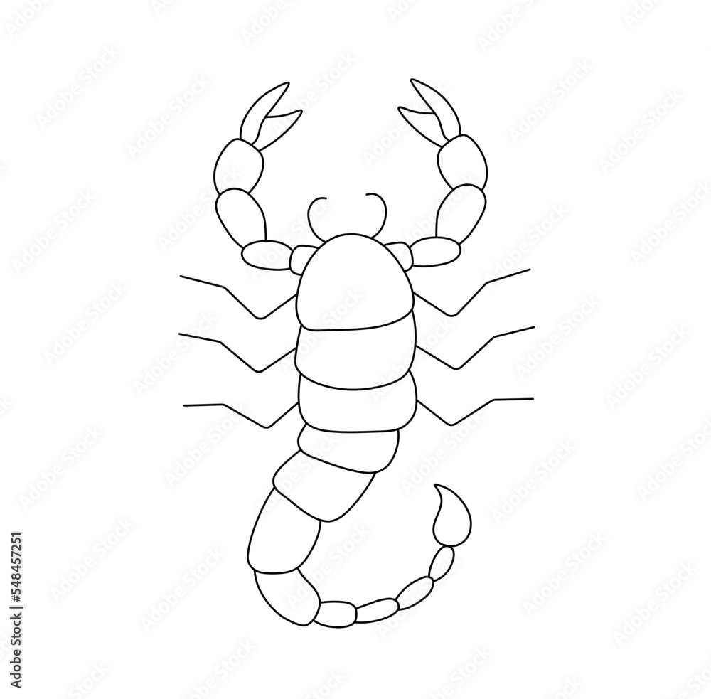 Vector isolated simple scorpion with claws and sting top view scorpio ...