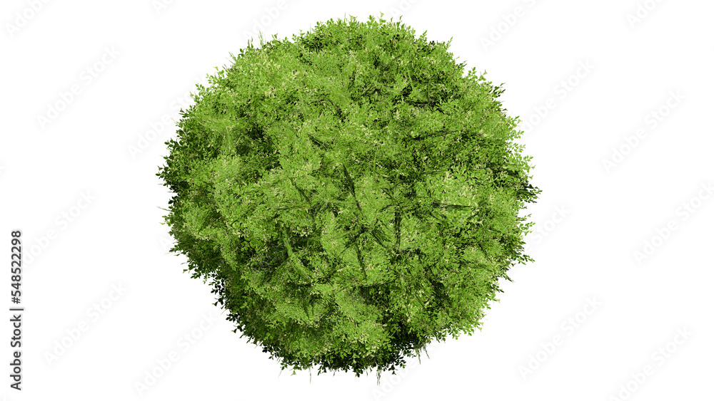 3D Top view Green Trees Isolated on PNGs transparent background , Use for visualization in ...