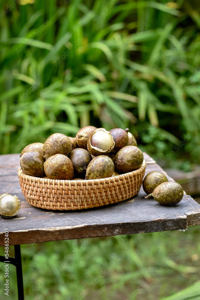 Matoa (Pometia pinnata) is a fruit plant typical of Papua. Has sweet ...