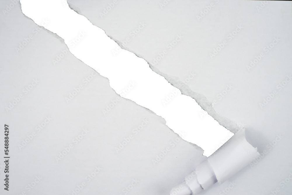 Torn paper with the curled ripped sides. Realistic torn paper with the ...