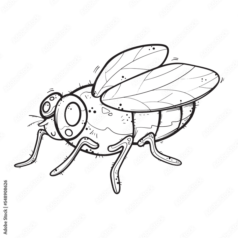 Cartoon flies illustration cute vector. Coloring pictures, clip art ...