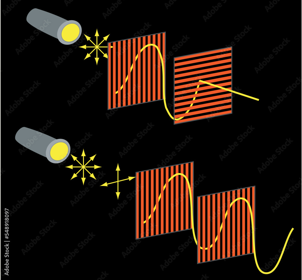 physics. spring stretched. transverse waves. longitudinal. The ...