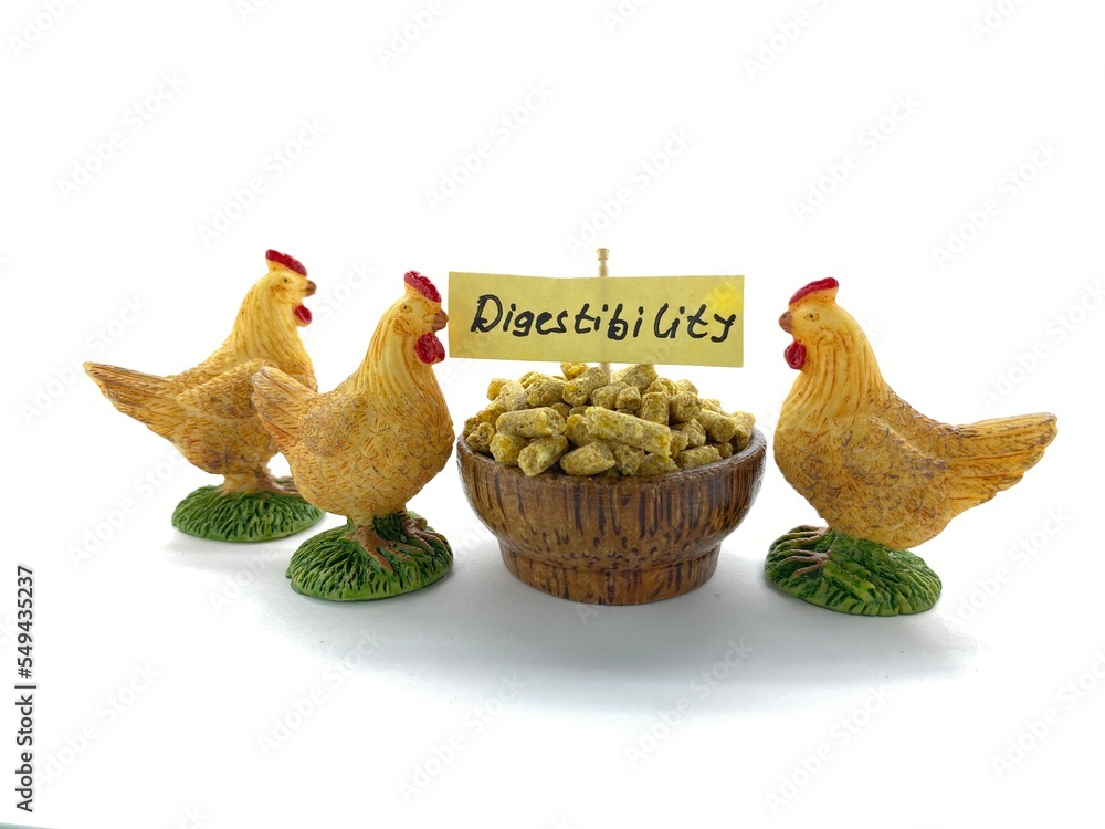 Concept, Chicken Performance issues, Enzyme and Digestibility for ...