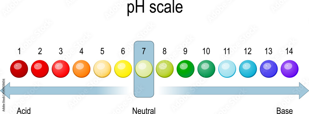 Vetor ph scale. chart of pH value do Stock | Adobe Stock