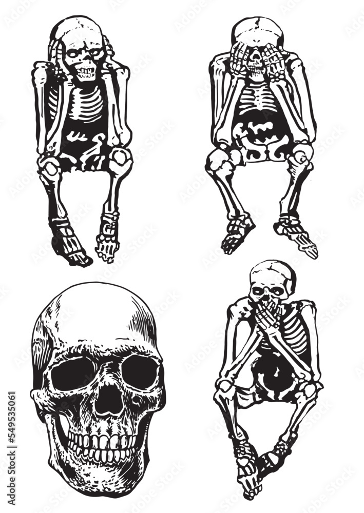 Graphical set of skeletons and human skulls isolated on white,vector ...