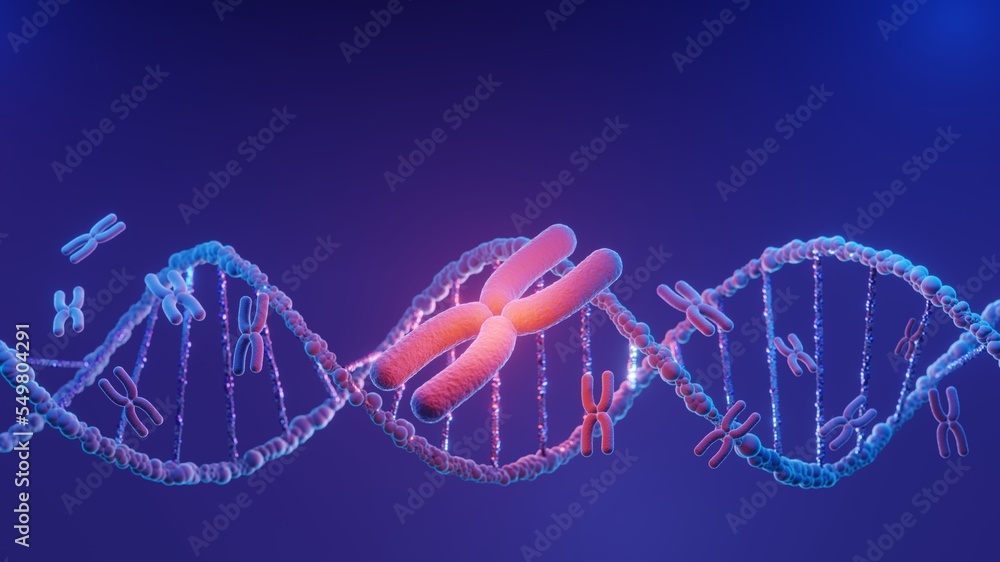 DNA spiral structure. DNA Helix complementary strand of Sequences ...