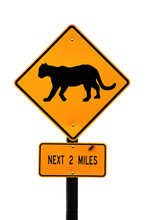 Mountain Lion Crossing Sign Free Stock Photo - Public Domain Pictures