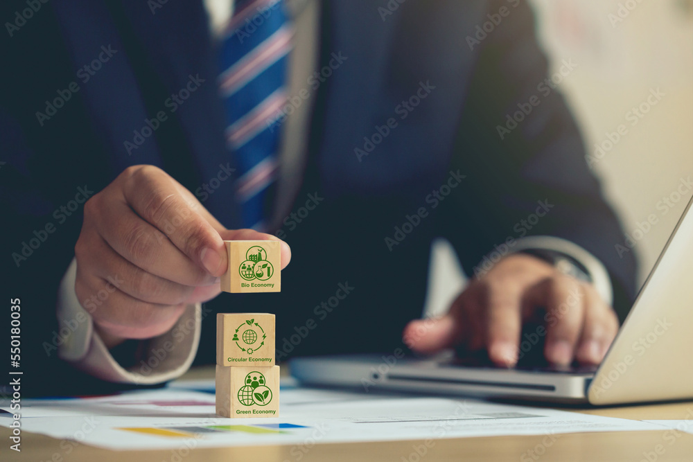 BCG concept for sustainable economy development. Bio economy, circle ...